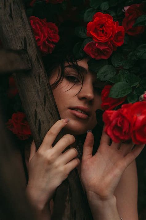 갈색 머리 감정 강렬한 관능적인 그림자 꽃 나무 사다리 낭만적인 다채로운 대조 드라마 렌즈 모델 미스터리한 미용 사진 빨간 빨간 장미 사진