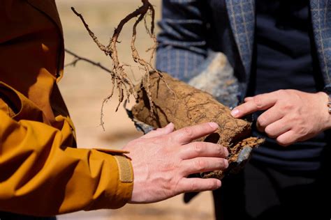 Монголын анхны мэдээллийн сайт Sonin Mn