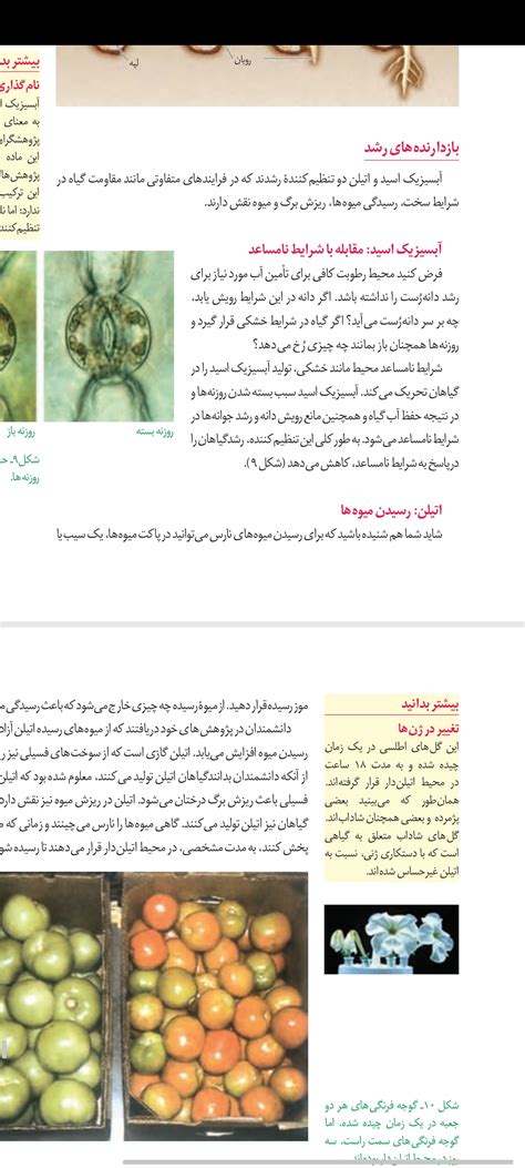 تدریس تنظیم کننده های رشد در گیاهان زیست شناسی یازدهم تجربی کنکور