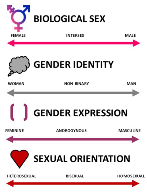 Nonbinary Tutoring Software With Nonbinary Option Oases Male Gender Gender Identity