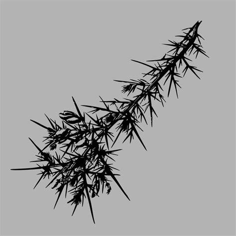 Soft Bait New Leaf Lyrics Genius Lyrics