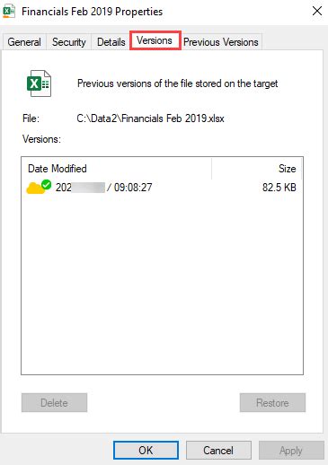 Continuous Data Protection With File Versioning