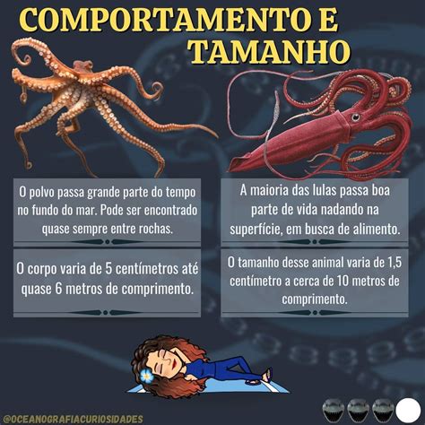 qual a diferença entre lula e polvo fdplearn