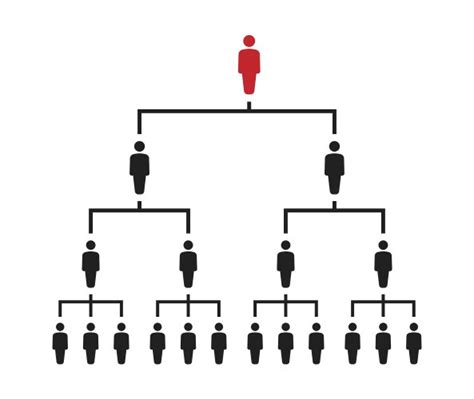 Hierarchy In Company Organization Chart Tree Vector Image