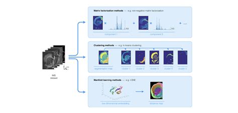 Unsupervised Machine Learning For Exploratory Data Analysis In Imaging