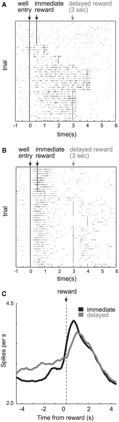 Orbitofrontal Cortex Ofc A Single Cell Example Of Reward Download Scientific Diagram