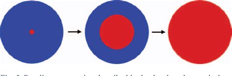 Figure 1 From Finite Element Modeling For Wafer To Wafer Direct Bonding Behaviors And Alignment