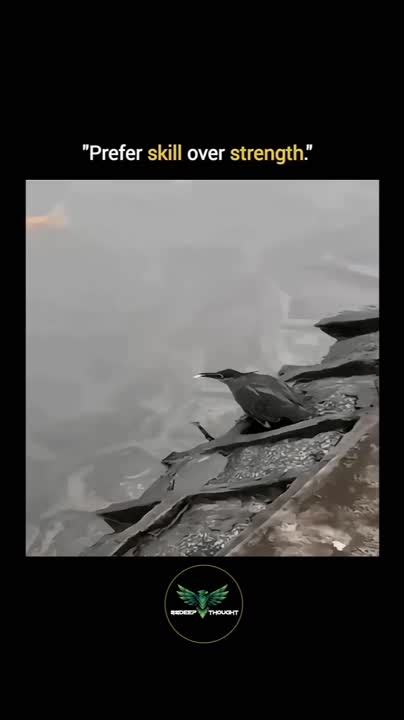 Meenakshi Yadav On Linkedin Job Candidate Growth Networking