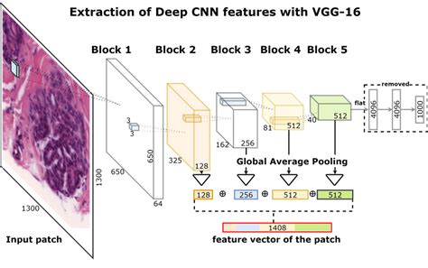Fig Schematic Overview Of The Network Architecture For Deep Feature Download Scientific