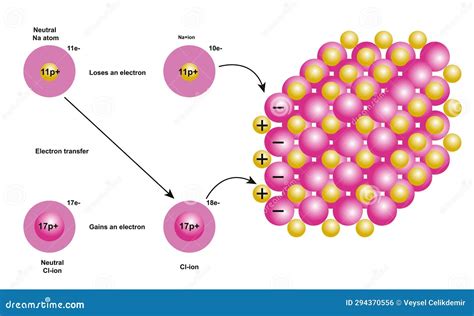 Ionic Lattice Model Of Sodium And Chloride Molecules Cartoon Vector