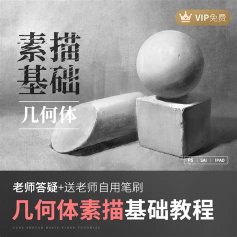 轻画笔 procreate素描零基础入门教程ipad手绘静物几何石膏体网课 虎窝淘