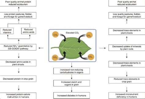 A Schematic Diagram Outlining [image] Eurekalert Science News Releases