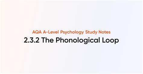 The Phonological Loop 232 Aqa A Level Psychology Notes Tutorchase