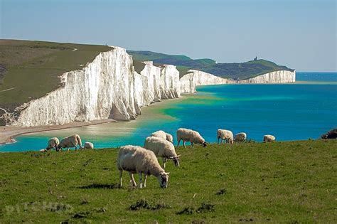 Wildlife In The South Downs National Park