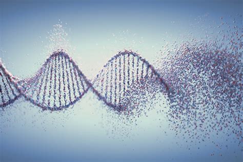 unib researcher proposes a system for the detection of thalassemia