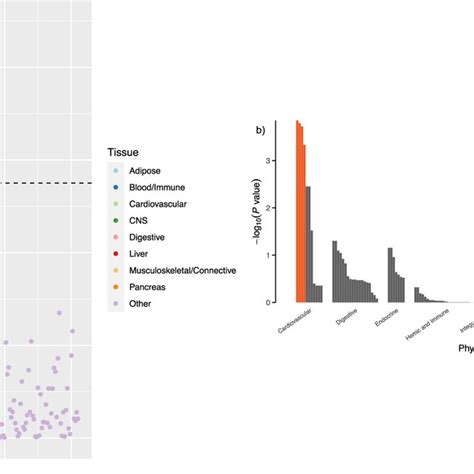 Tissue And Cell Type Specific Enrichment Analysis For Cardiorespiratory