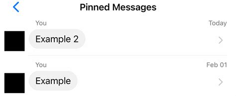 messenger how to see all of the pinned messages in a chat