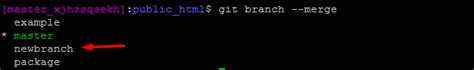Manage Branches And Resolve Conflicts In Git