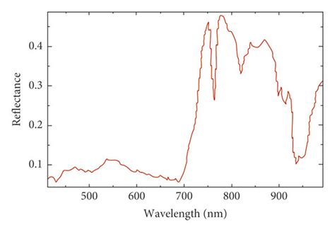 Original Spectrum Curve Of Vegetation Body And Reconstructed Spectrum Download Scientific Original Spectrum Curve Of Vegetation Body And Reconstructed Spectrum Download Scientific