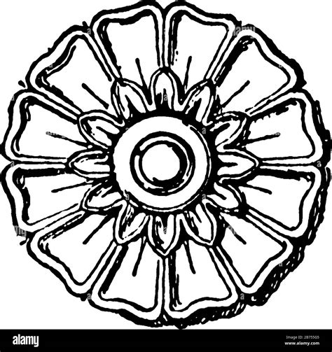 How To Draw A Rosette