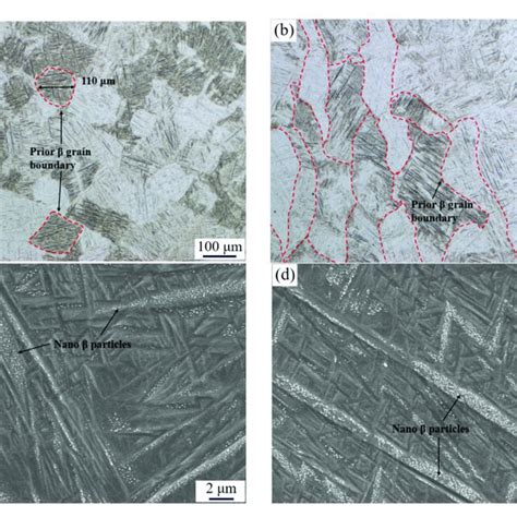 Microstructure Of Slm Specimen Ac Cross Section Bd Longitudinal Download Scientific