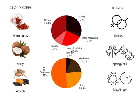 Vertus Paris Night Dose Your Money Worthy Buy