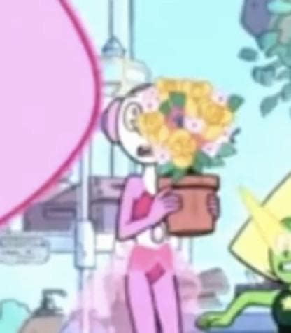 Unanswered Questions Steven Universe Know Your Meme