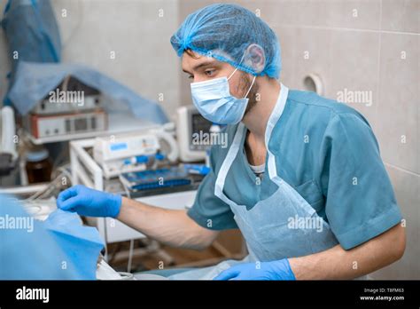 The anesthesiologist introduces the solution and prepares the dog for ...