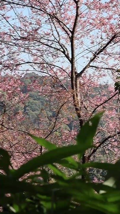 Breathe Code Debug Repeat Youtube