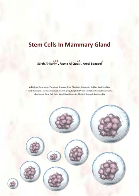 Pdf Stem Cells In Mammary Gland Literatures Review