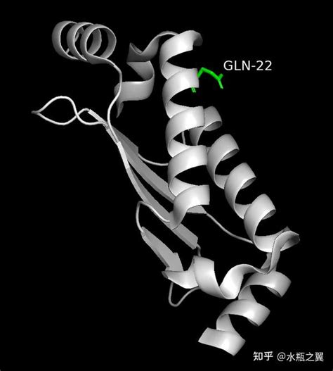 Pymol软件入门学习笔记 知乎