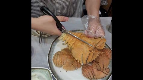 부채새우 게 랍스터 킹크랩 자르기 먹방 맛집 술먹방 술안주 Youtube