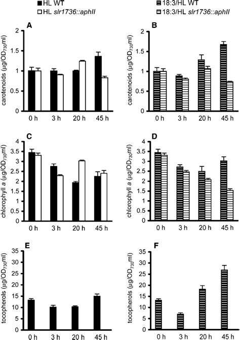 Total Carotenoid Chlorophyll And Tocopherol Contents In The Wild Type Download Scientific