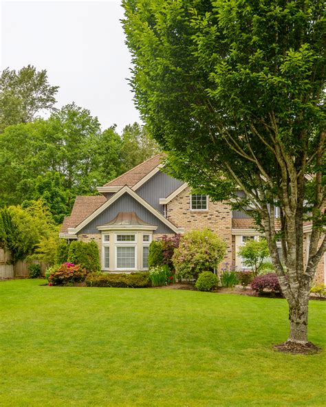 Tips For Tree Maintenance Tree Maintenance In Dallas TX