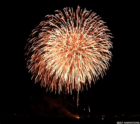 Firework Shell Red White Blue