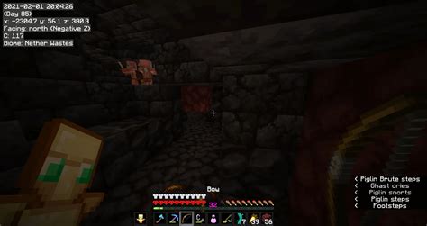 Vanilla Entity X Ray I Discovered More Info In Comments Rminecraft