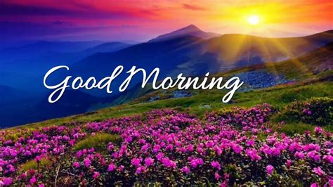 Good Morning Wishes Good Morning Greetings E Card Good Morning Whatsapp Video Youtube