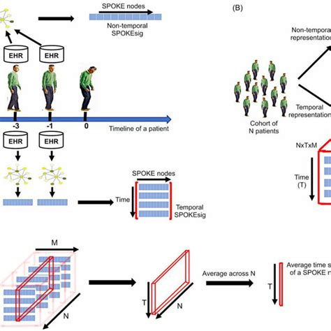 a shows the schematic for the generation of temporal and non temporal