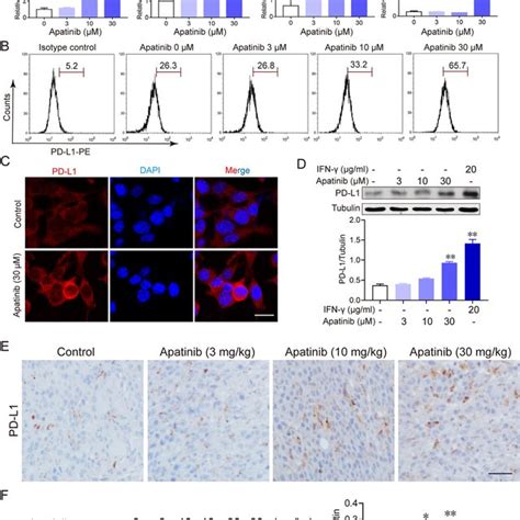 Apatinib Combined With Anti Pd 1 Significantly Elevated Anti Tumor Download Scientific Diagram