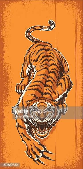 Crouching Tiger Stock Vector Royalty Free Freeimages Crouching Tiger Stock Vector Royalty Free Freeimages