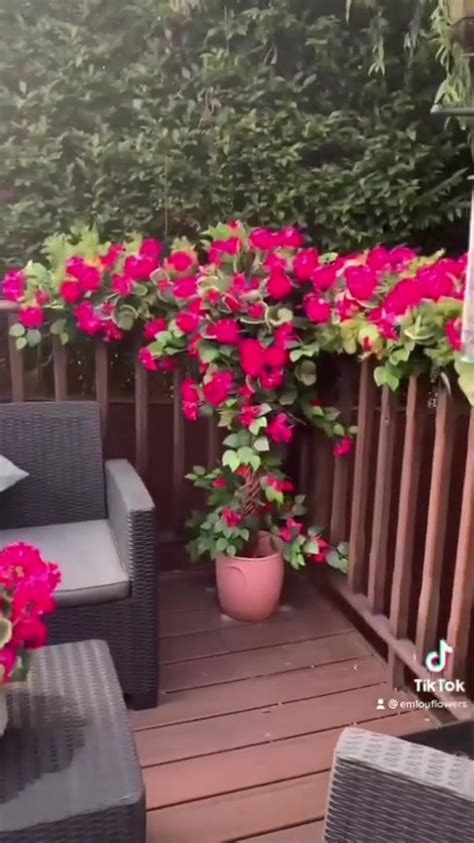 Inside Loose Women Star Denise Welchs Garden Transformation At 1m