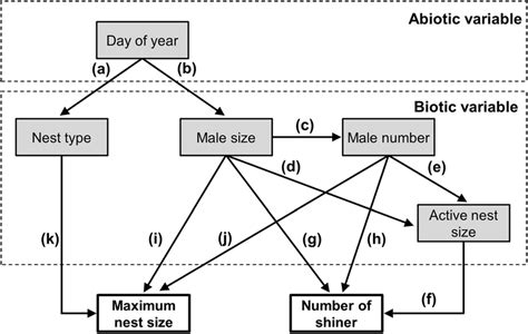 A Conceptual Pathway Diagram Representing Hypothesized Relationships