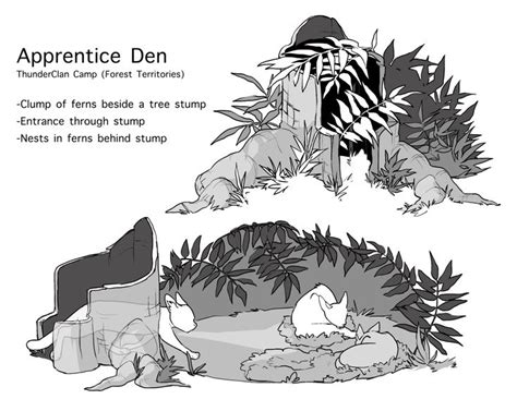 Warrior Cat Designs Thunderclan Forest Territories Apprentice Den Concept Said To Be In A