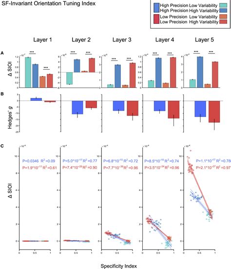 Variability In Training Unlocks Generalization In Visual Perceptual Learning Through Invariant