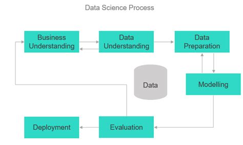 Data Science For Everyone