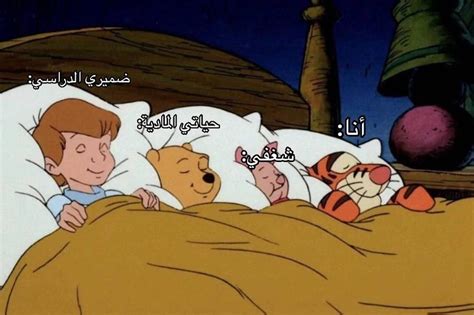 Instagram Photo By ‎تيمون وبومبا🔵‎ • Jan 26 2025 At 420 Am