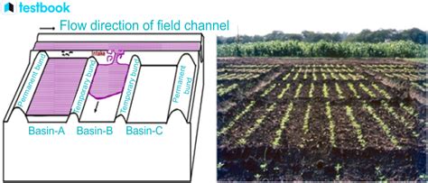 Check These 5 Types Of Irrigation Systems In Zimbabwe