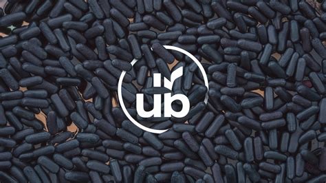 C Psulas Cardiovasculares Tudo O Que Voc Precisa Saber