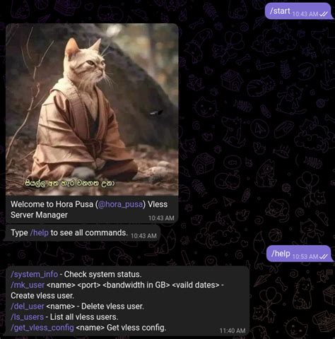 Github Horapusa Lkhp V2 This Is An Auto Script For Ubuntu 1804 To Install Xray Core With