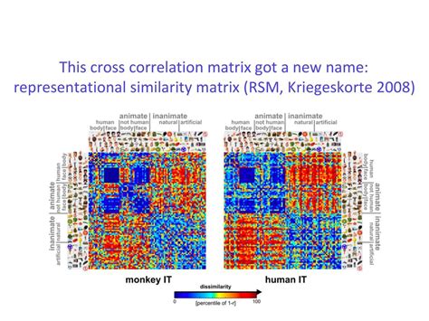 Multi Voxel Pattern Analyses Mvpa Ppt Download